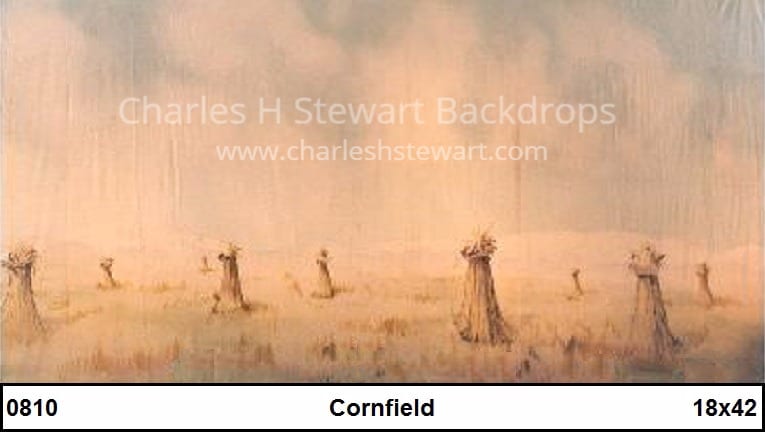 Cornfield Backdrop - Backdrops by Charles H. Stewart
