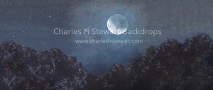 Palace Ballroom Backdrop - Backdrops by Charles H. Stewart