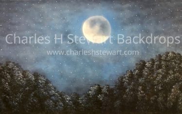 18x42 Palace Ballroom Backdrop by Charles H Stewart 2505