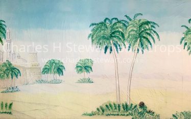 Desert Tab Backdrop For Rent by Charles H. Stewart