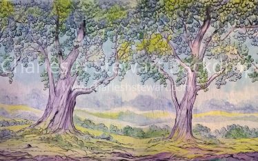 Flower Field Backdrop For Rent by Charles H. Stewart