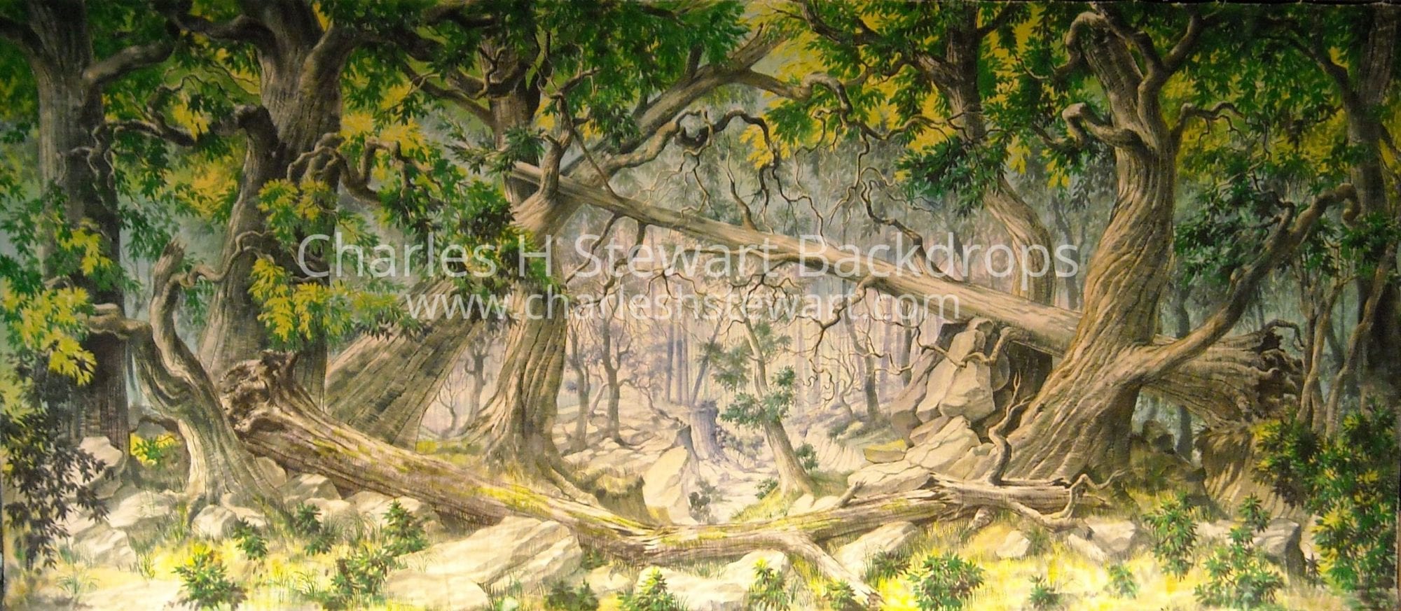 Tangled Forest Backdrop - Backdrops by Charles H. Stewart