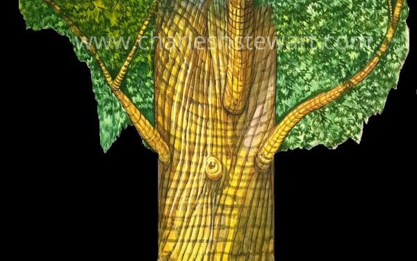 Beam and Plaster Exterior Cut Tab Backdrop - Backdrops by Charles H ...