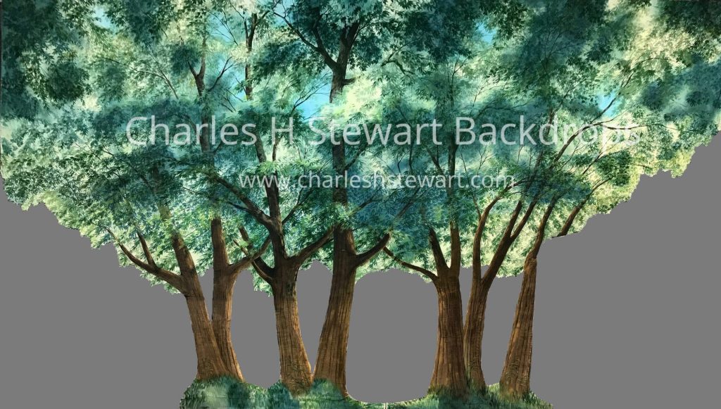 Trees Cut Backdrop For Rent by Charles H. Stewart