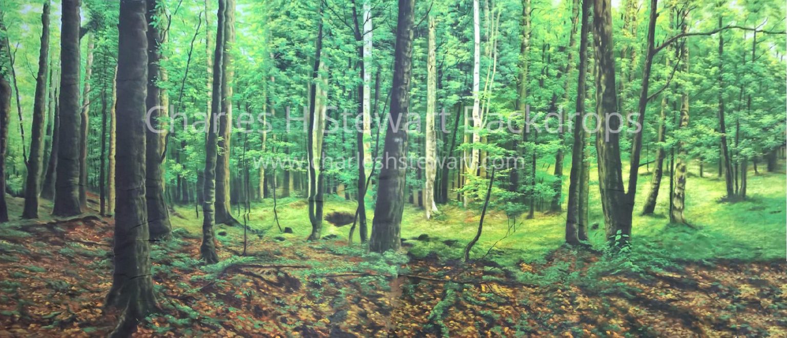 Deep Woods Backdrop For Rent by Charles H. Stewart