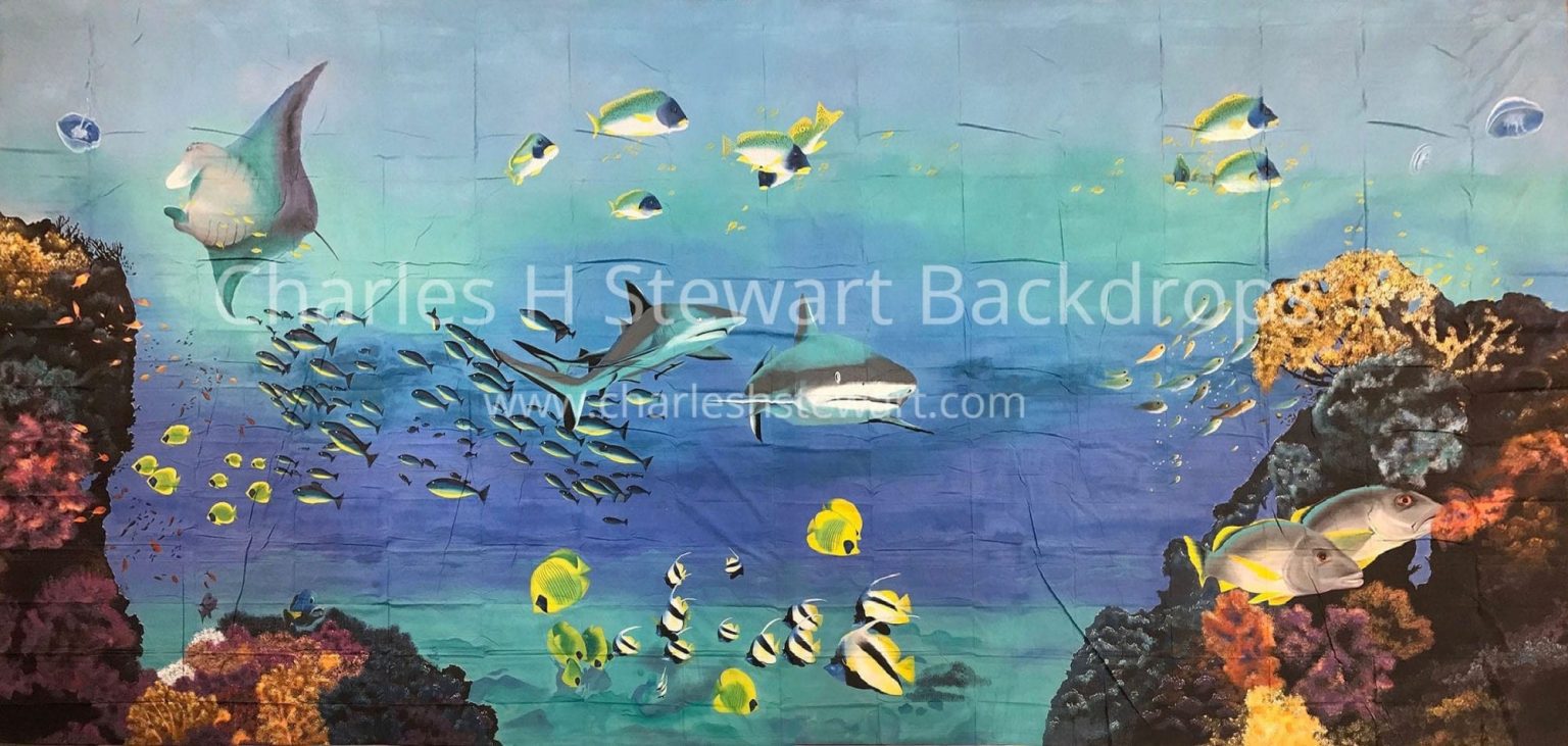 Deciding on a Backdrop: Tips for Decision Making - Backdrops by Charles ...