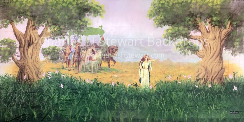 Camelot Knights Backdrop For Rent by Charles H. Stewart