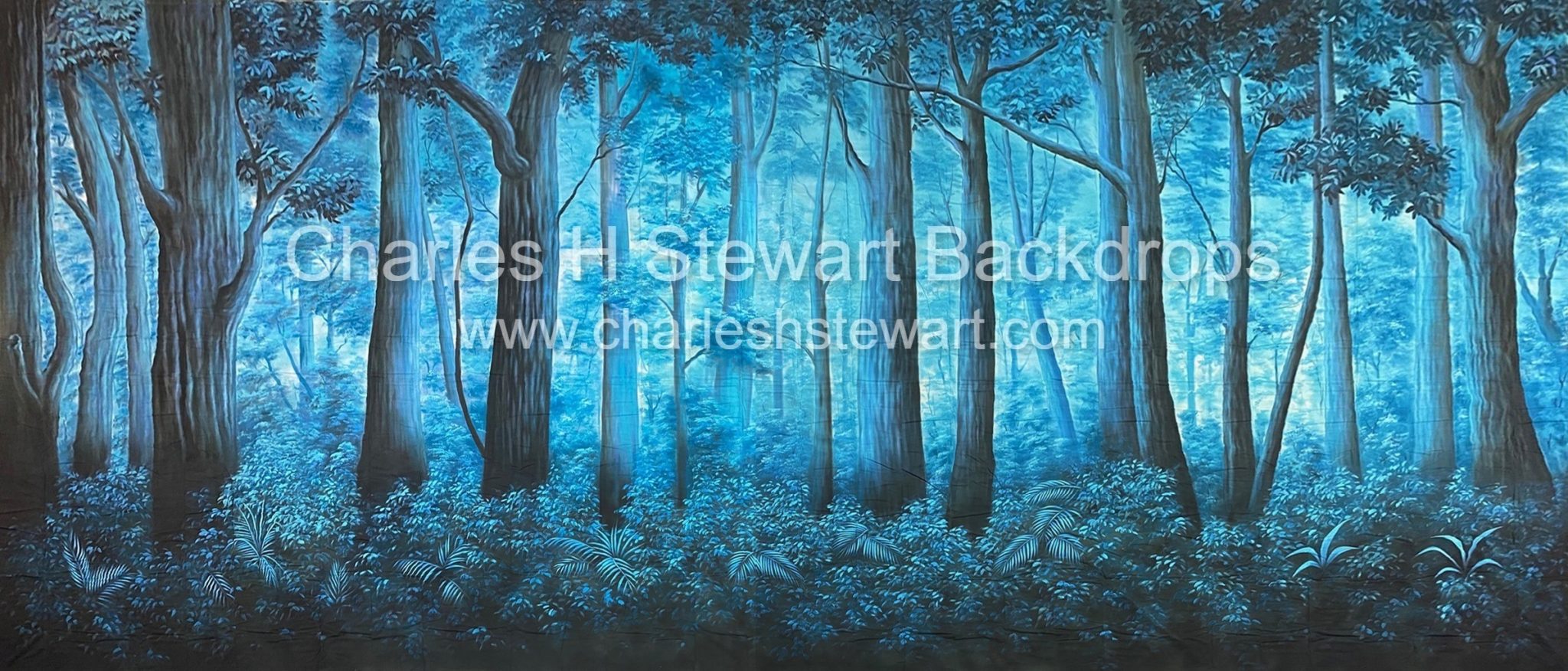 Explore the World of Shrek the Musical - Backdrops by Charles H. Stewart